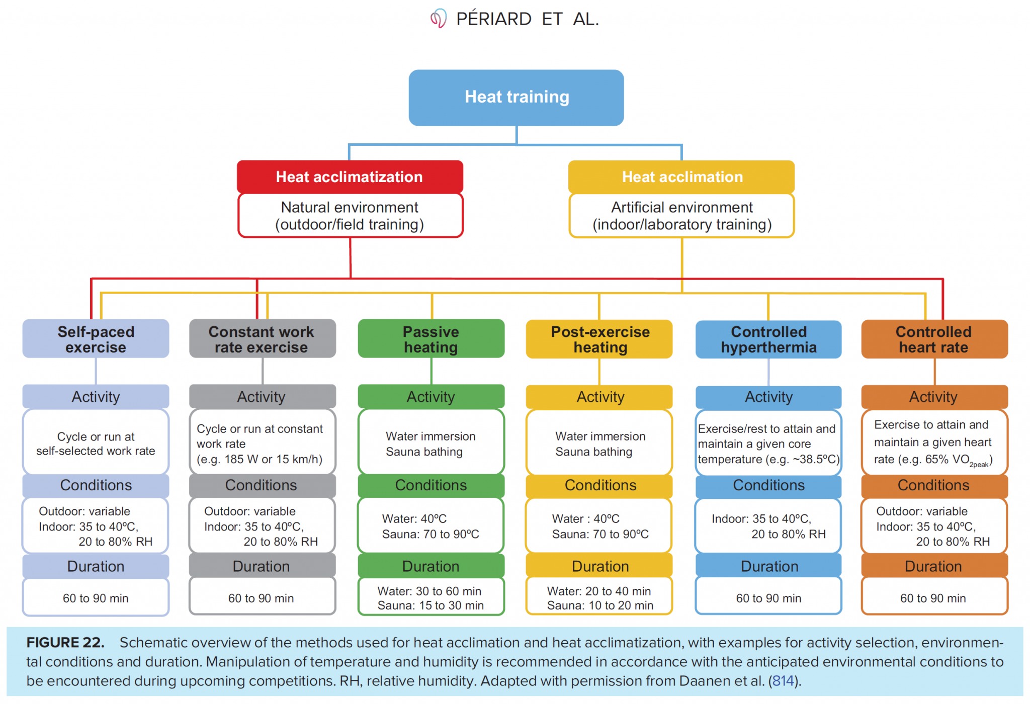 How to Beat the Heat with Heat Adaptation Training – Alp Fitness
